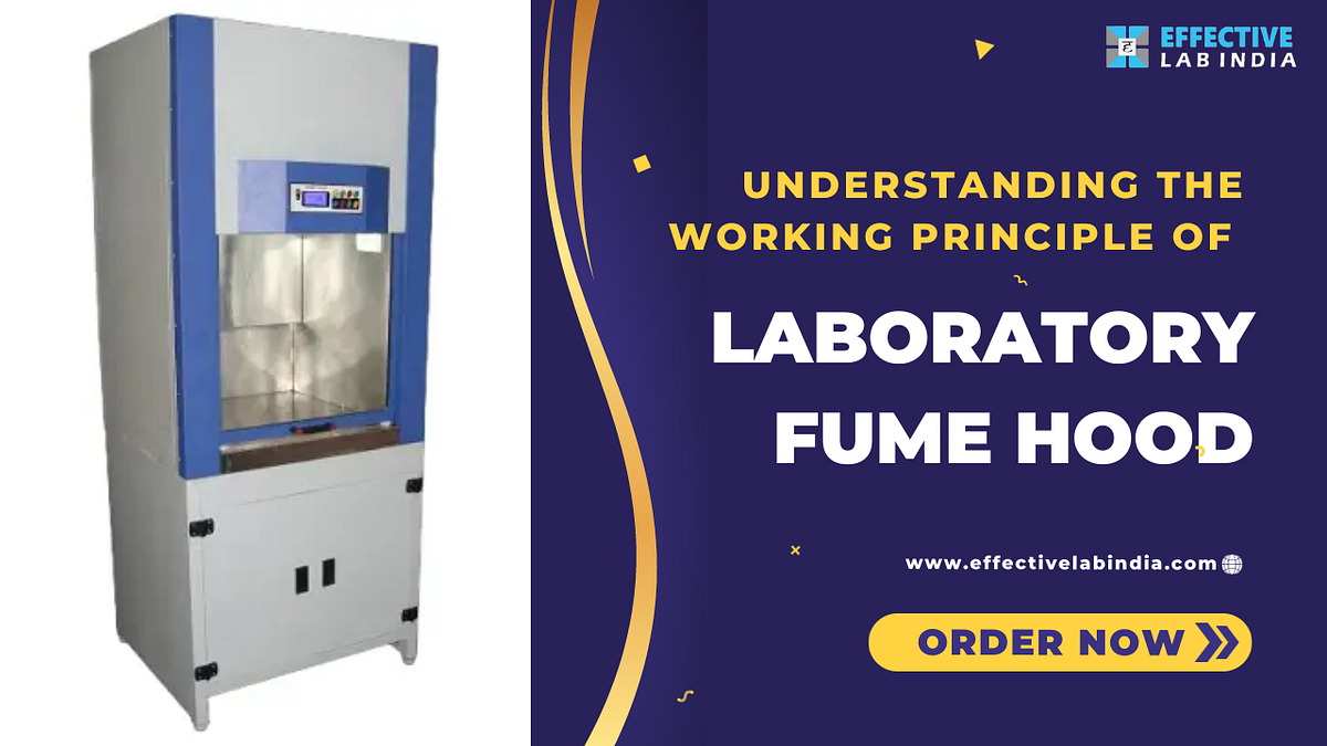 Understanding The Working Principle of a Laboratory Fume Hood | by ...