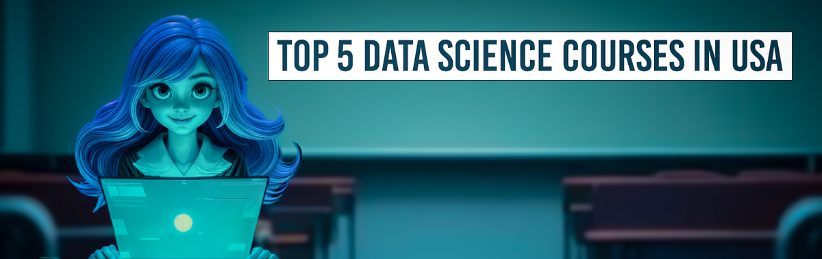 Top 5 Data Science Courses in USA [2024] | by Learnbay_Official | Mar ...