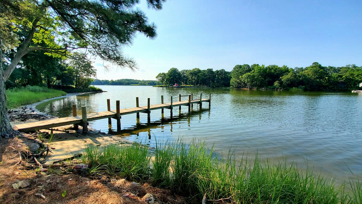 Northern Neck and a Southern Getaway | by Geno Frazier | Medium