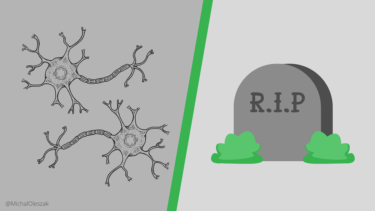 Detecting and Fixing Dead Neurons in Foundation Models | by Michał ...