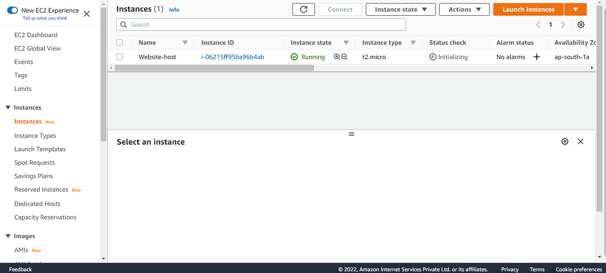 How to host static website in your EC2 instance | by Sujal Sahu | Medium