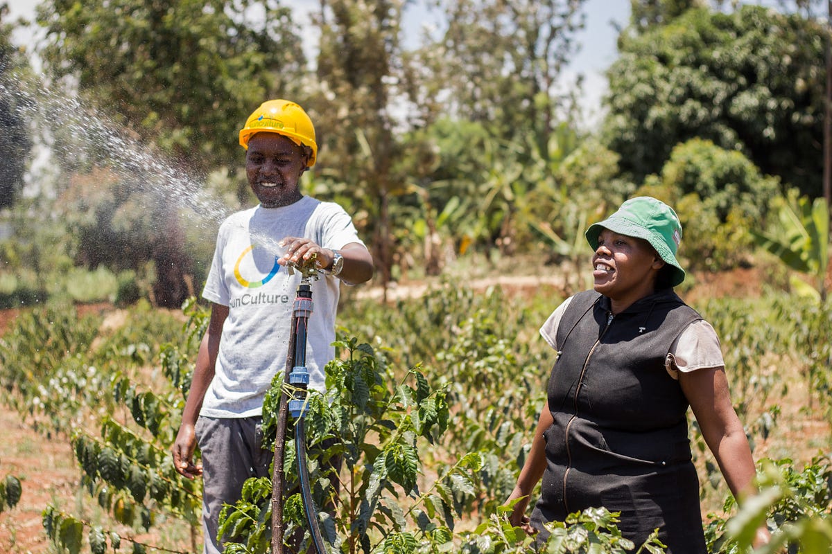 Scaling Clean Energy Innovations in Sub-Saharan Africa: Perspectives ...