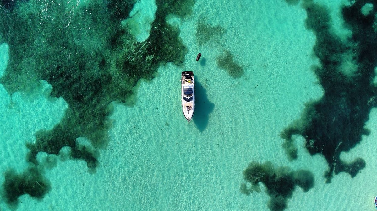 The ocean…. Doc | by Jessica Paz | Medium