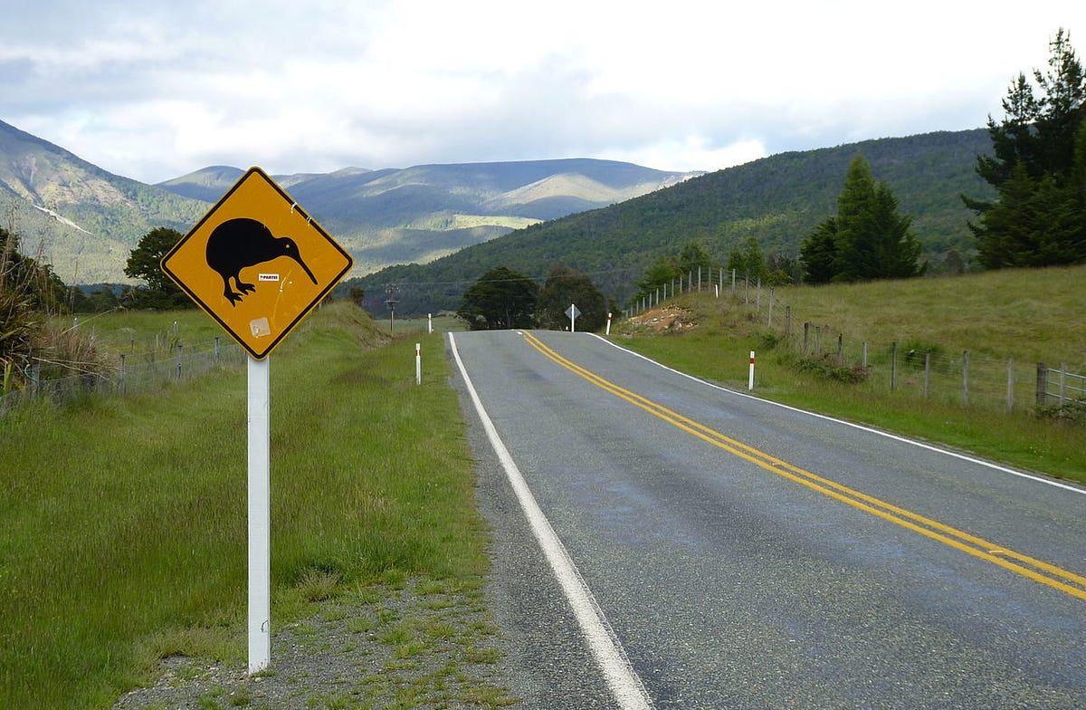 Introducing Kiwis Data Wrangling Toolkit In Javascript 🥝 By Tom Février Javascript In Plain