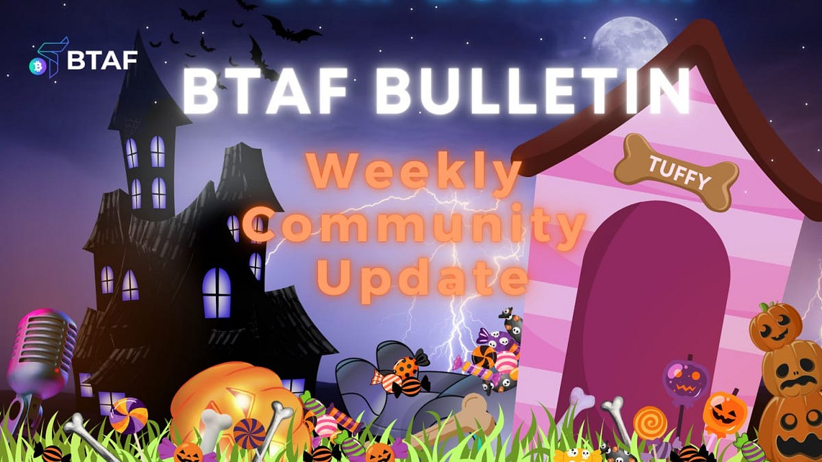 🇺🇸 BTAF token weekly bulletin #96–3 November 2024 | by BTAF token | Medium