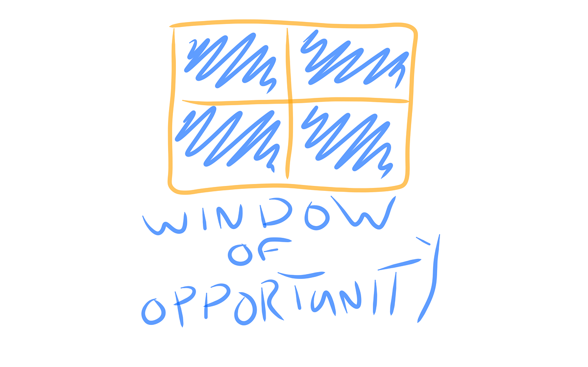 Have You Ever Missed a Window of Opportunity | by Barbara J. Martin ...