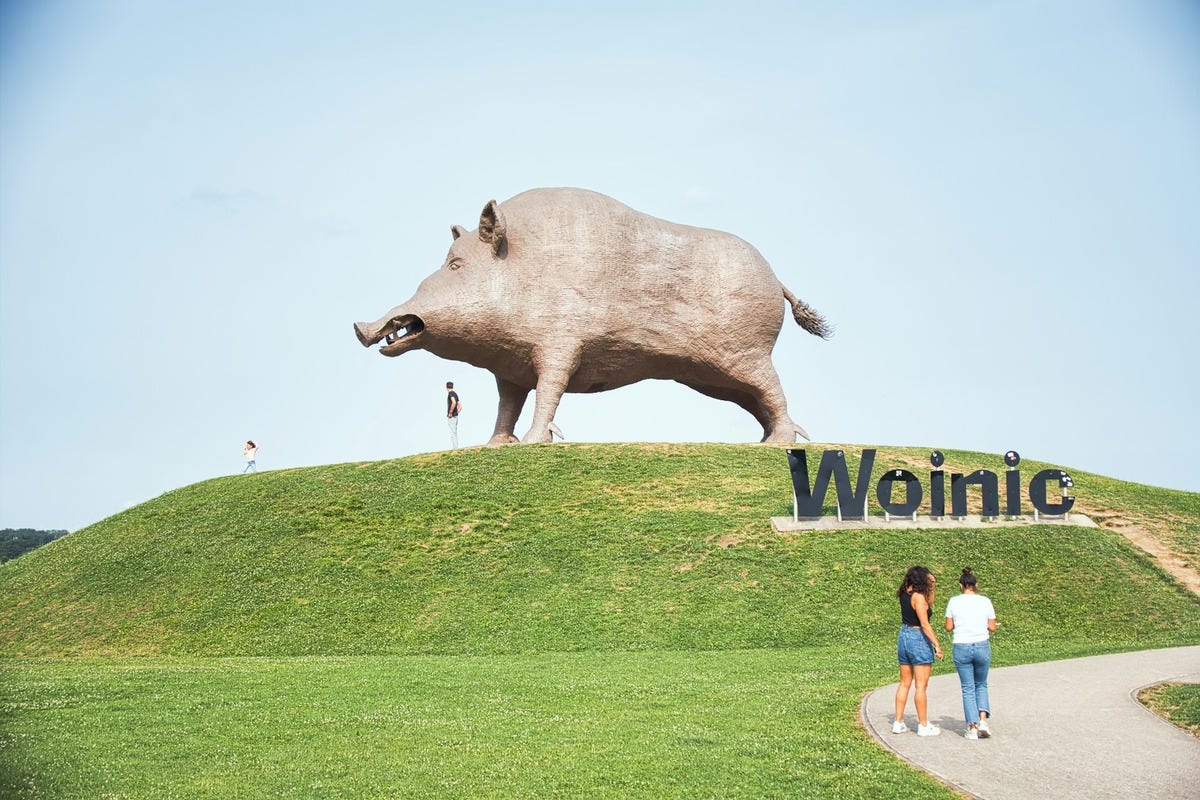 Everyone Needs to Try French Pigs At Least Once | by Marsha Adams | The ...