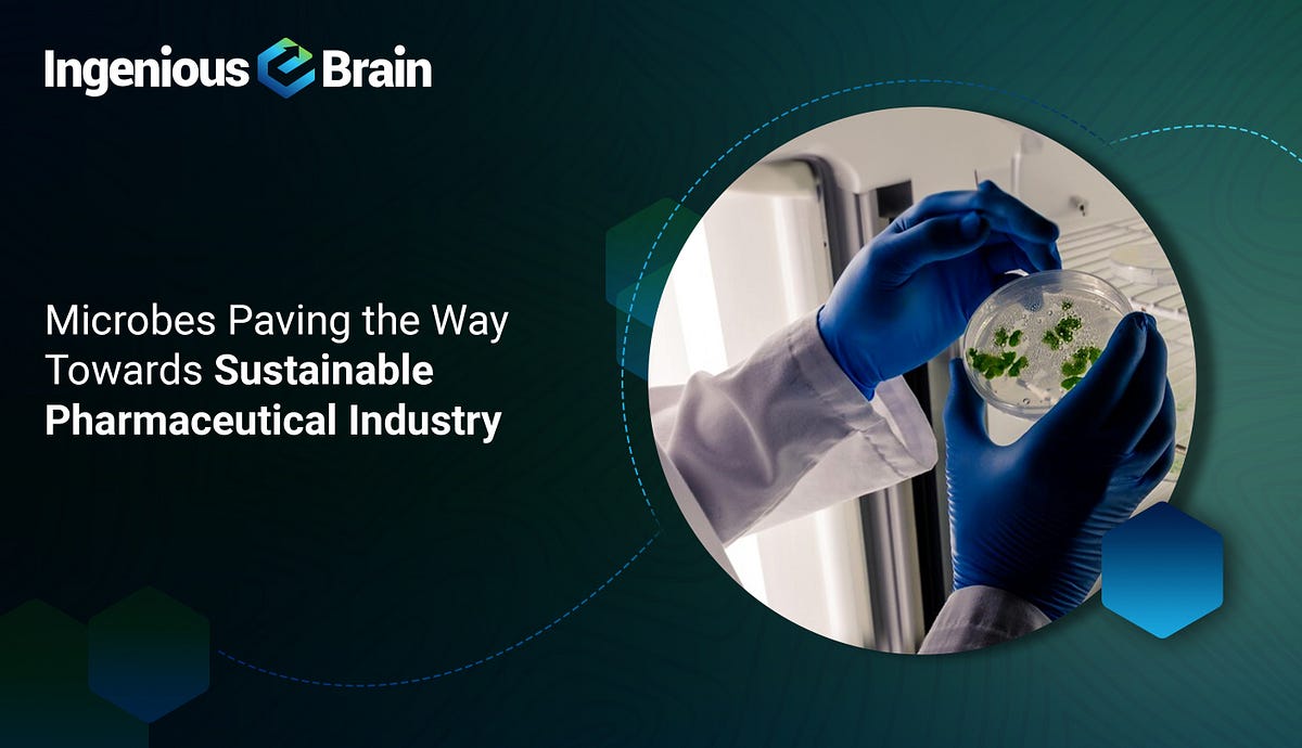 Harnessing Microbes for Sustainable Pharmaceutical Solutions | by ...