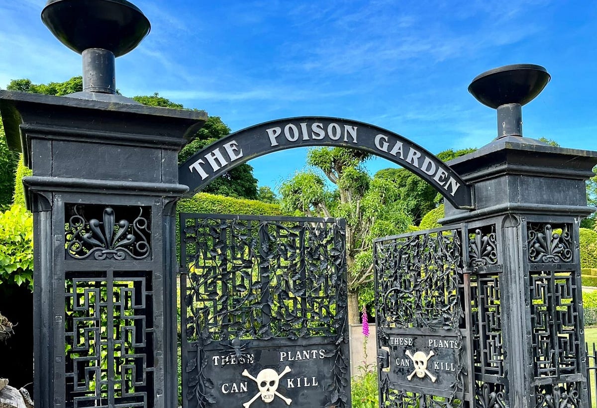 The Poison Garden: A Place of Danger and Beauty | by Global Wanderer ...