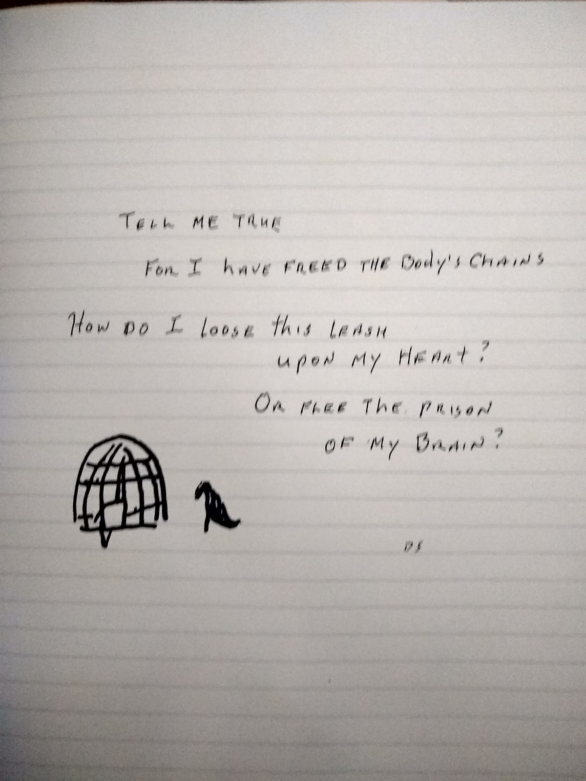 Free Bird. Paper Poetry Prompt#4 | by Dana Sanford | Paper Poetry | Medium