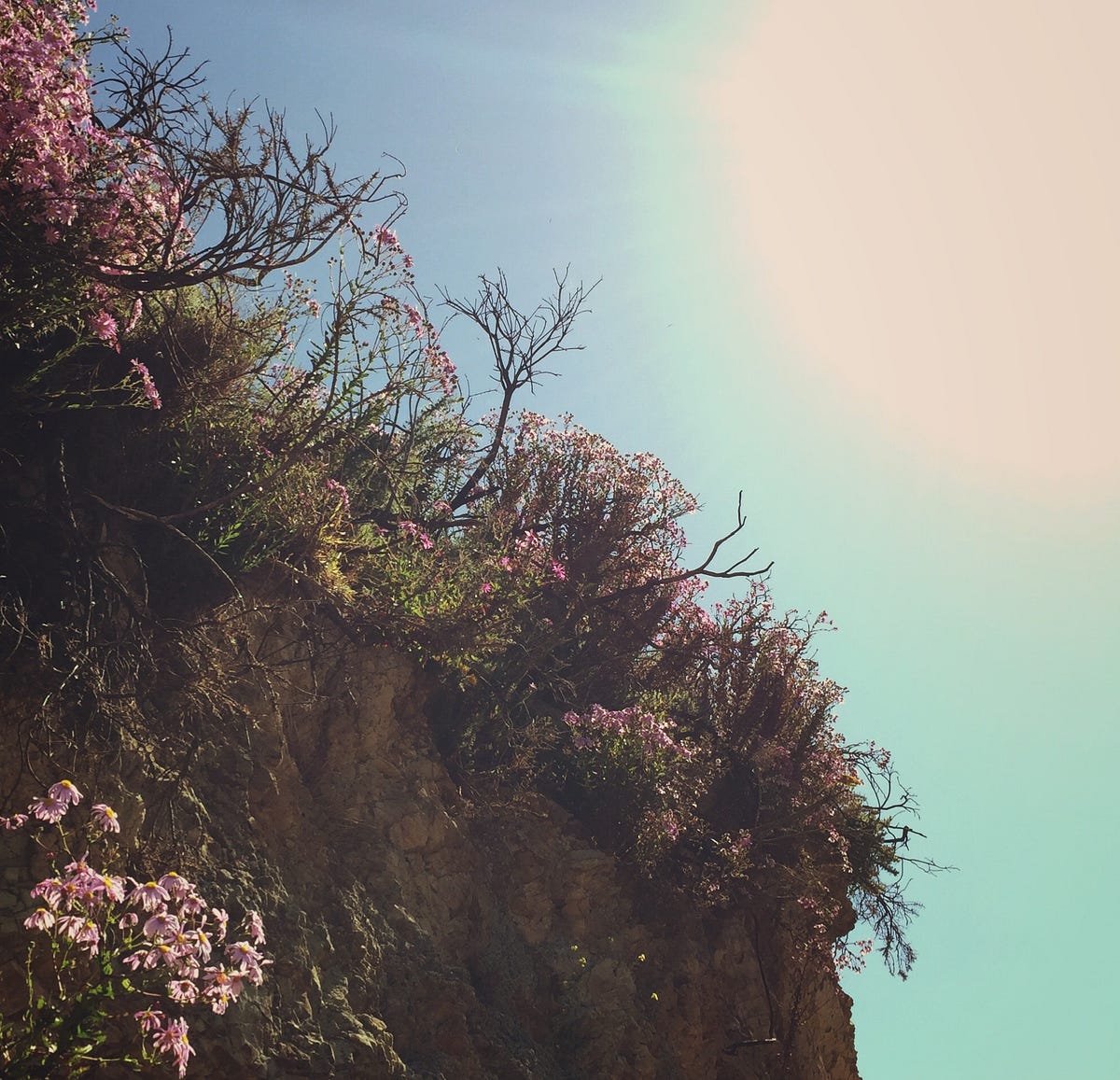The Prose Project. The final part of my personal… | by Stephen Woods ...