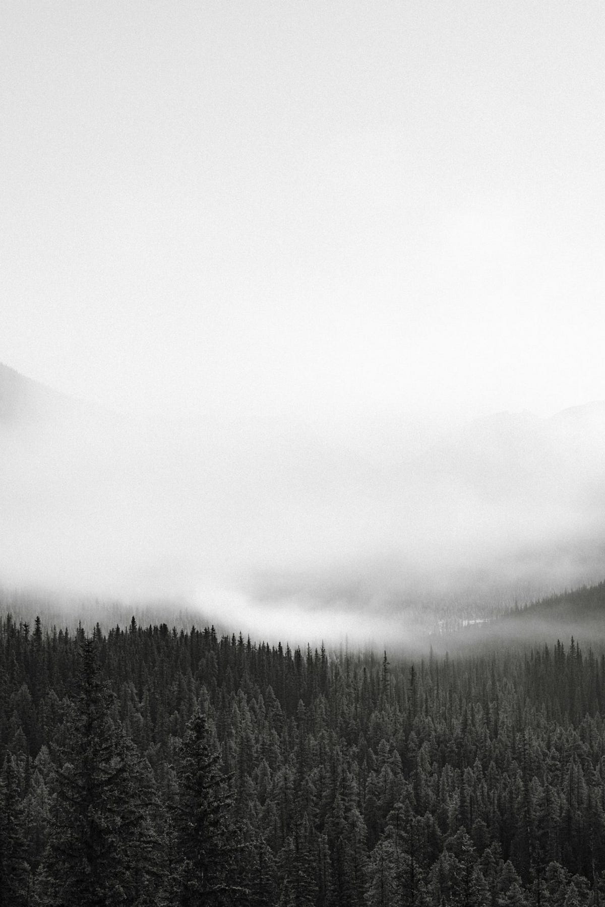 The Mirror of the Self: How Our Inner World Shapes Our View of Reality ...