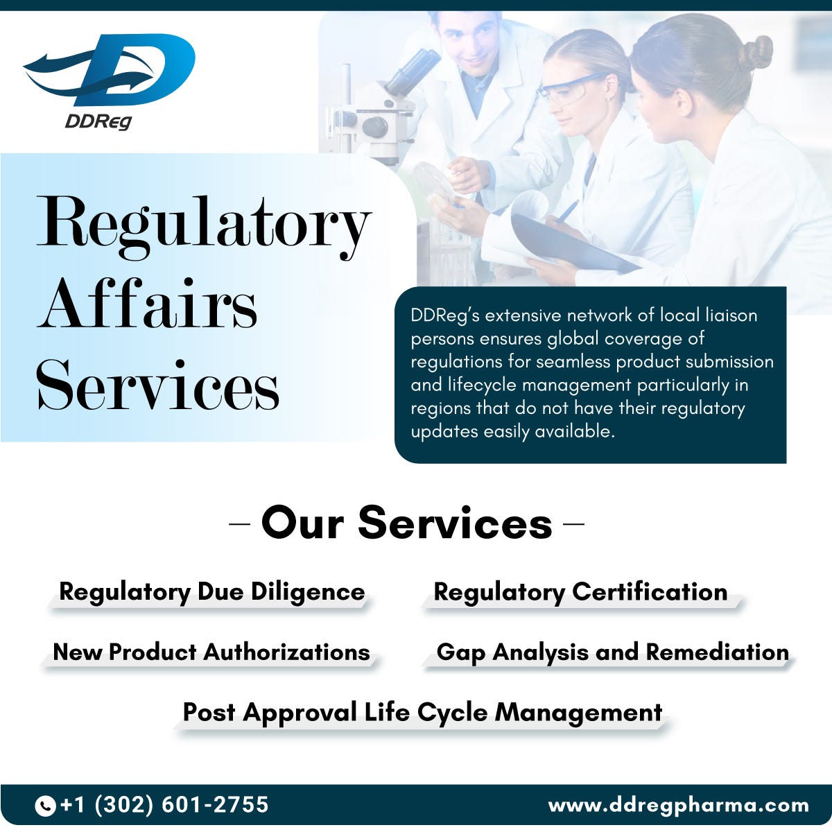 Regulatory Services in South Korea - DDReg Pharma - Medium