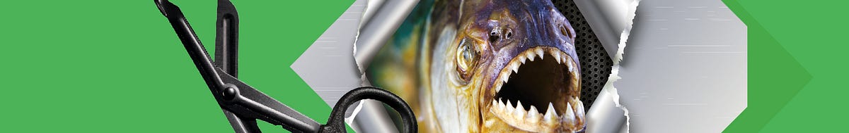 The Art of Using Trauma Shears and How to Choose the Best | by TyTek ...