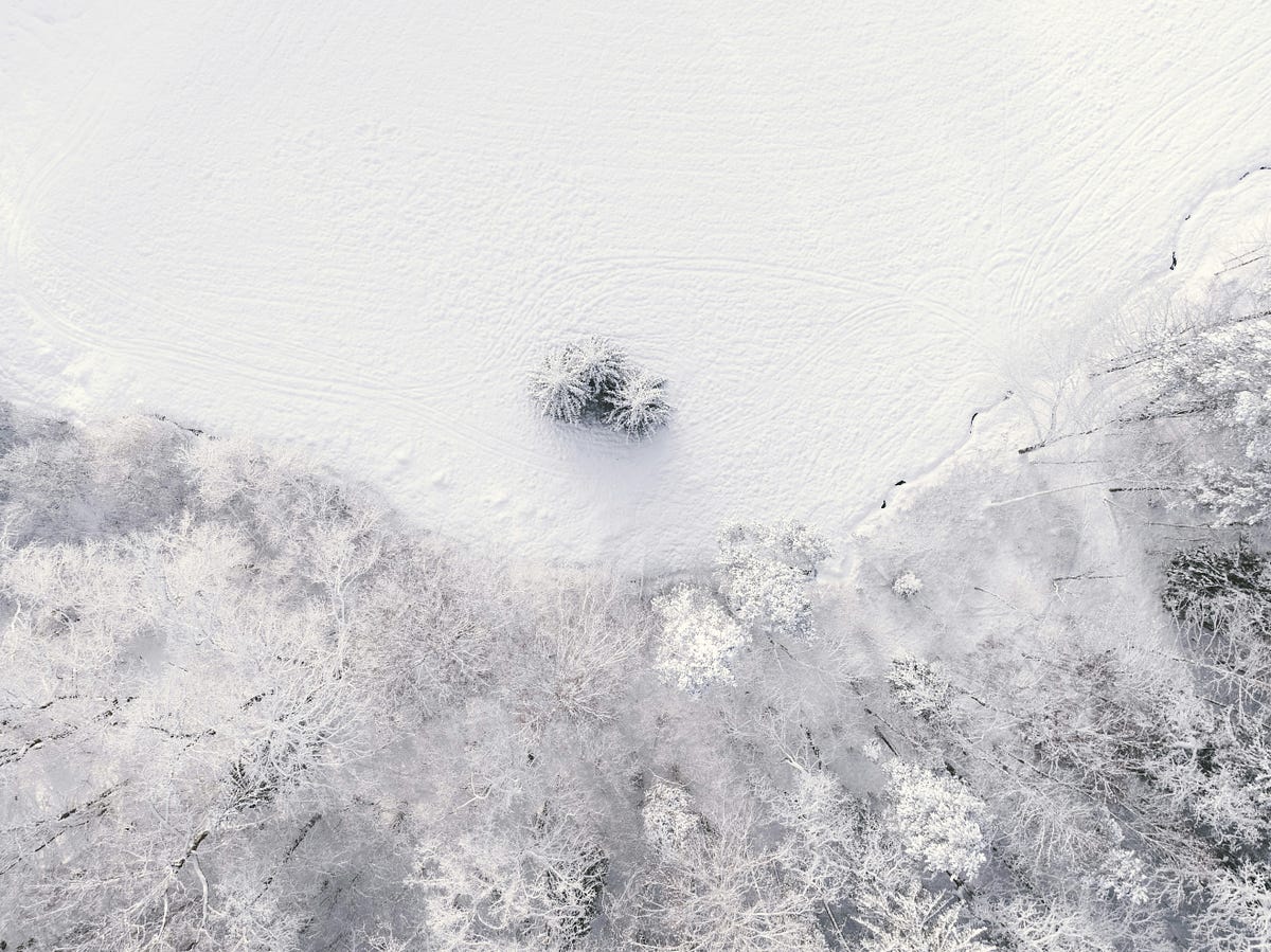 Fireside Interviews — Somsubhra Banerjee | by Thomas Gaudex | Scribe | Medium