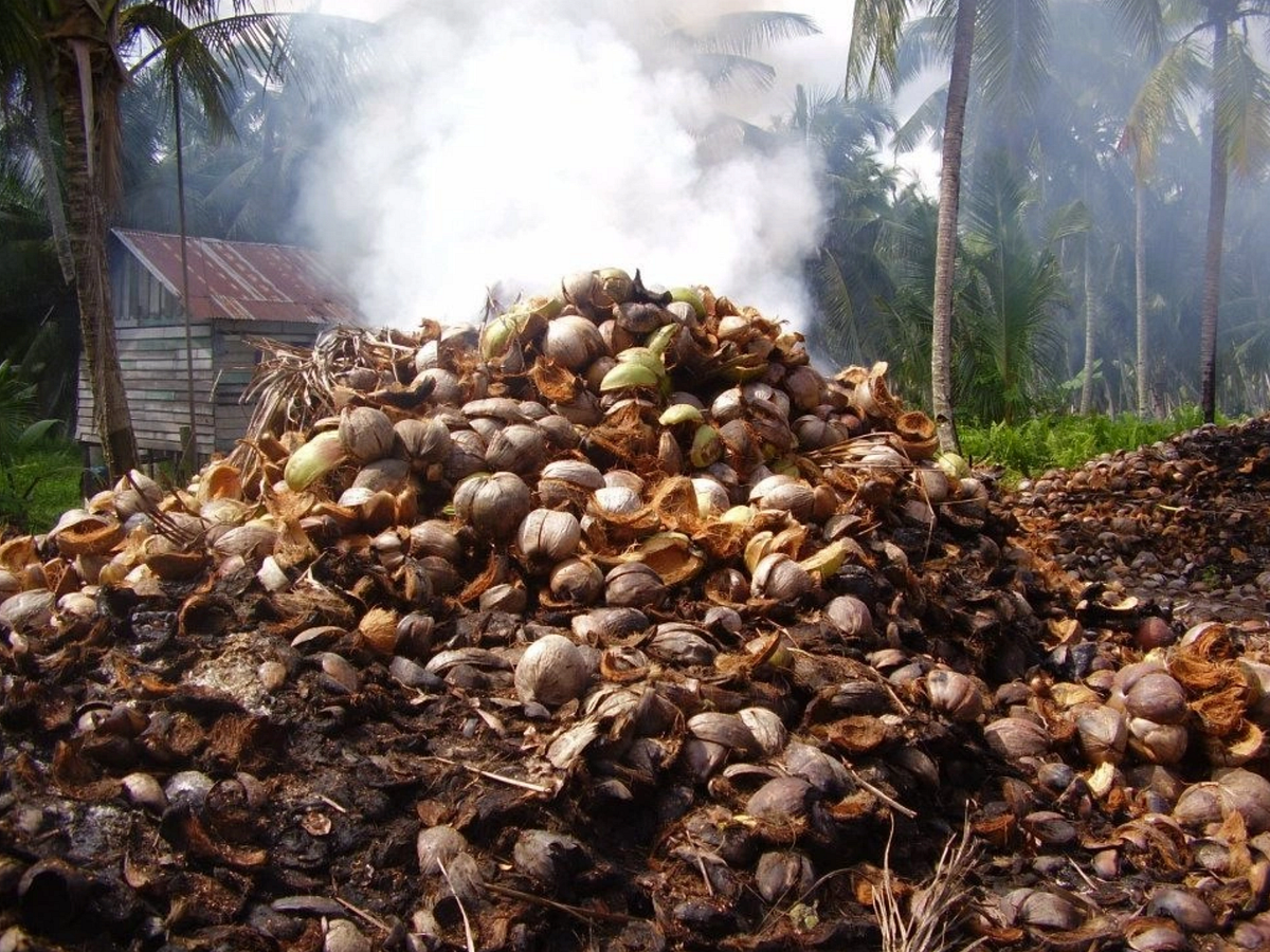 Coco Loop: Circular Materials from Coconut Husk | by Moh with Coconut🥥🌴 ...