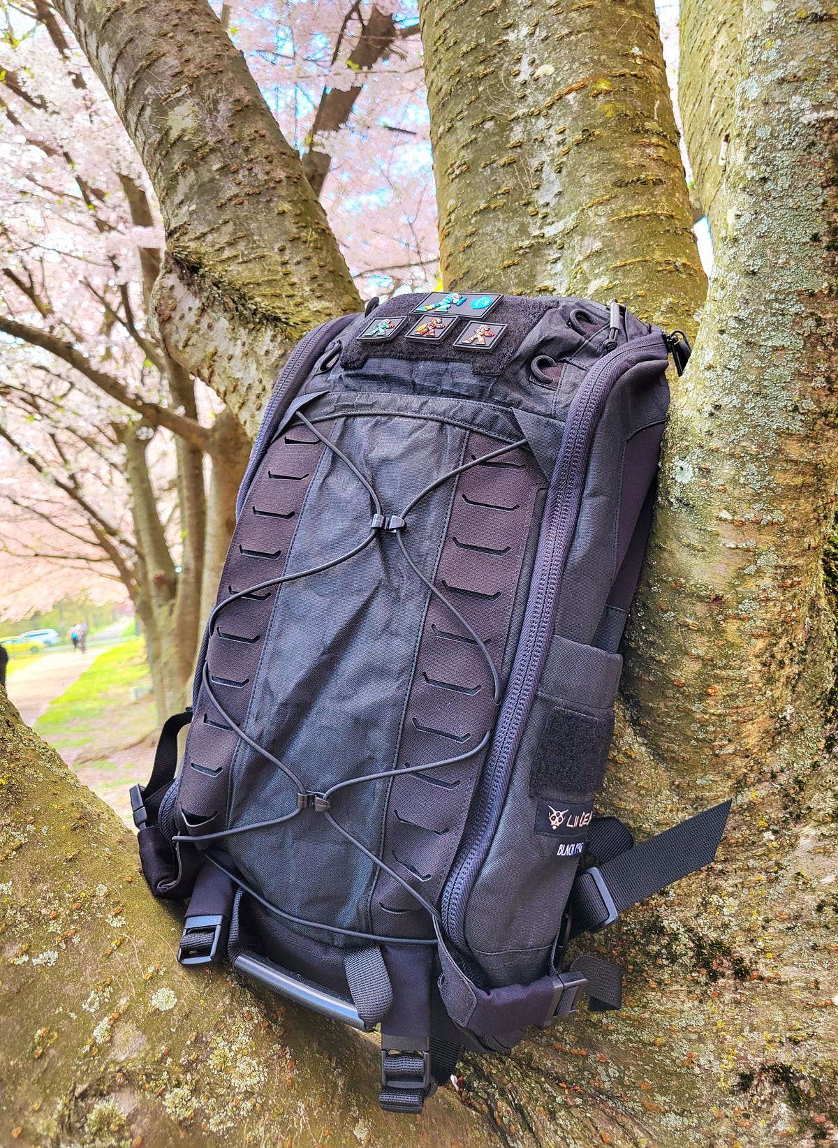 Lii Gear Roaring Cricket Gen II — Review | by Geoff | Pangolins with Packs
