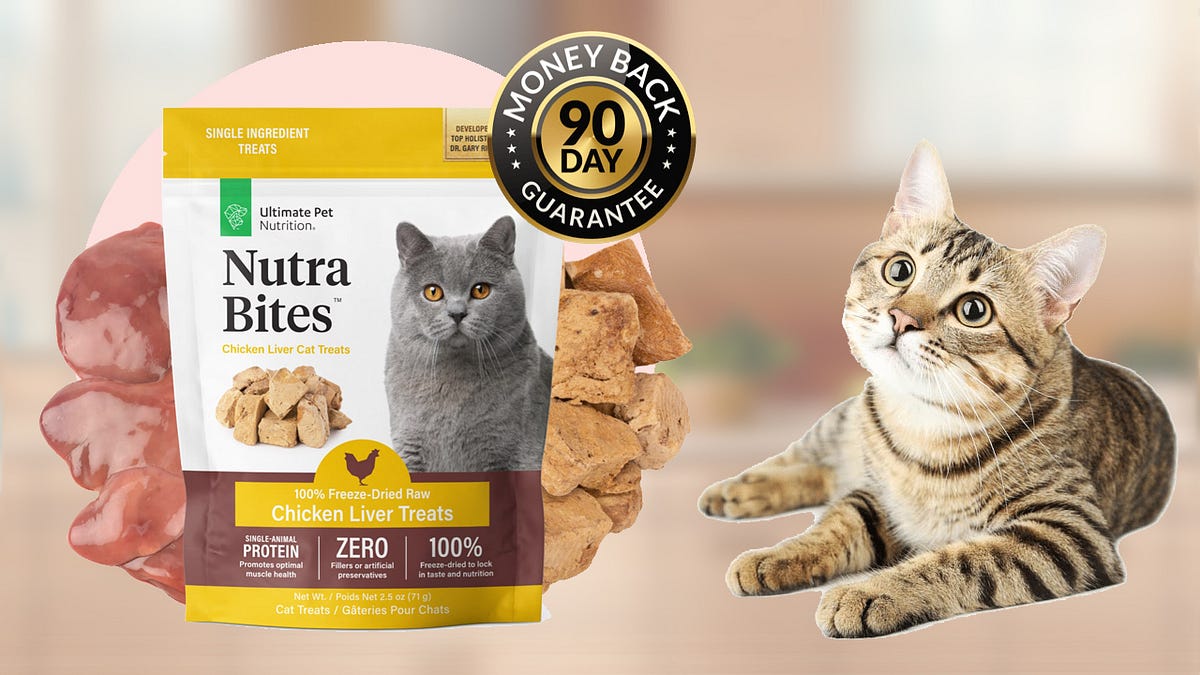 Nutra Bites Cats Review: My 30-Day Journey Enhancing My Cat’s Health ...