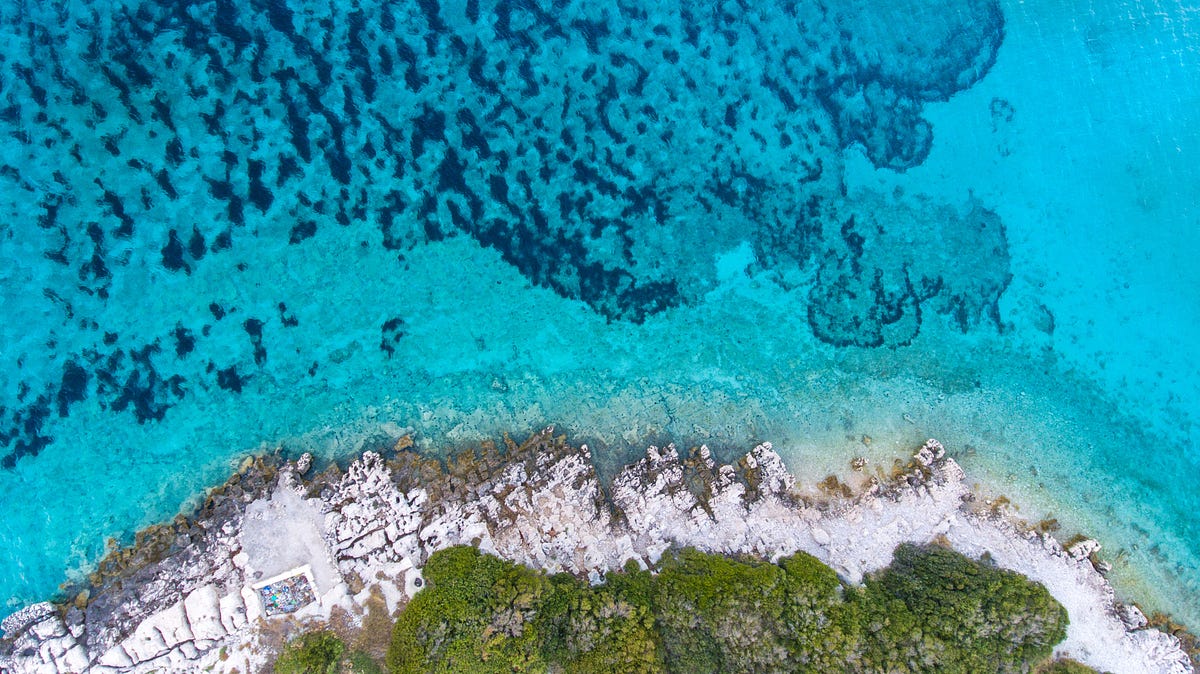 A Letter to The Reef Community. Dear Reef Community, | by Reef | Reef ...