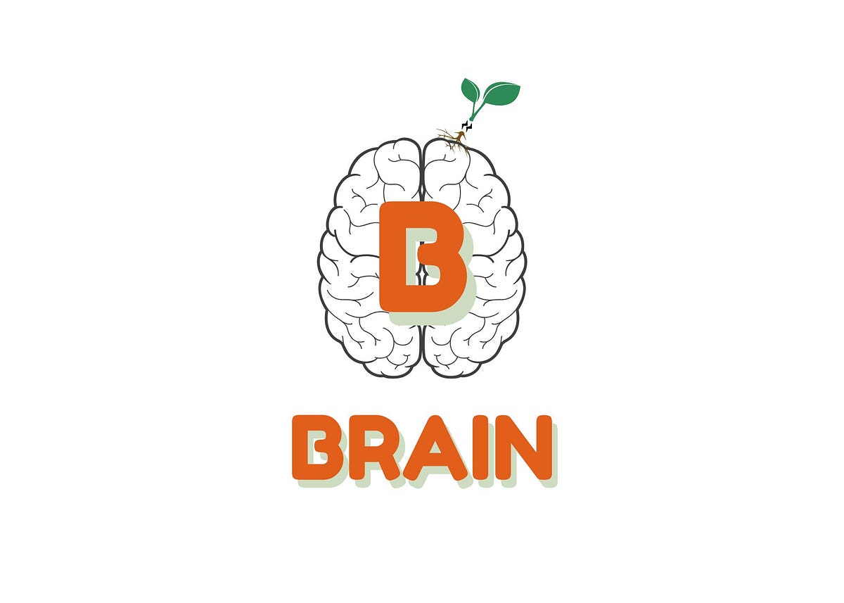 B is for Brain. Everything is affected by a stroke when… | by Susan ...