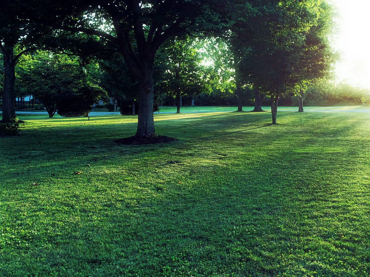 Homeowners, Maintain Your Lawn | Medium