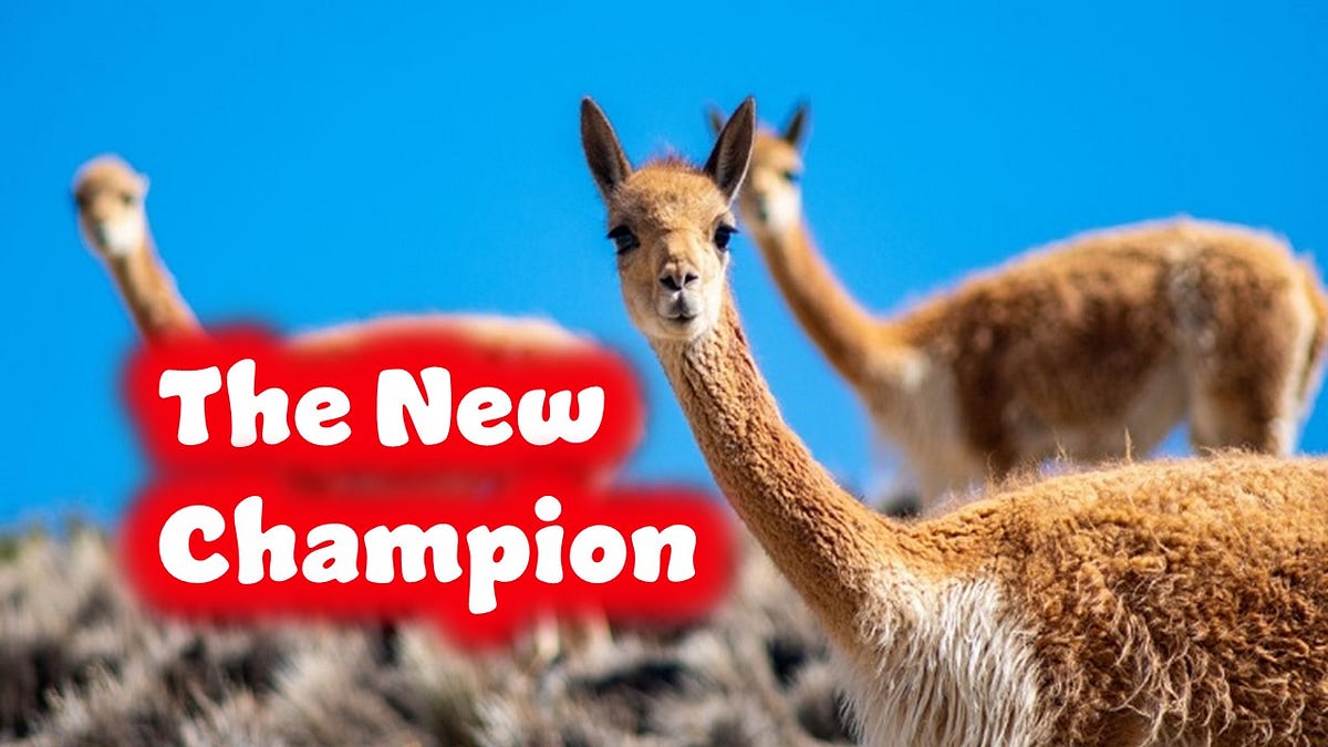 Tiny-Vicuna-1B is the lightweight champion of the Tiny Models | by ...