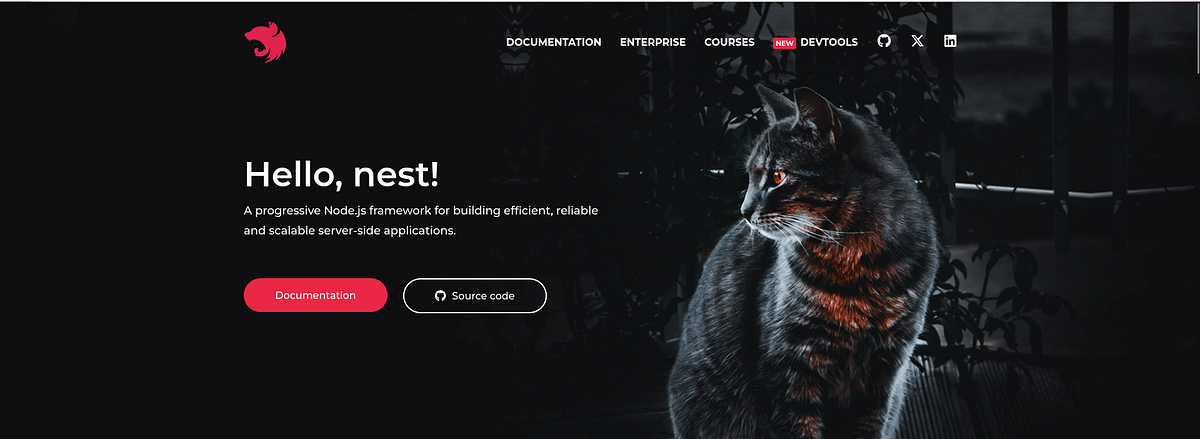 Module Pattern in NestJs. If you haven’t read my previous article… | by ...