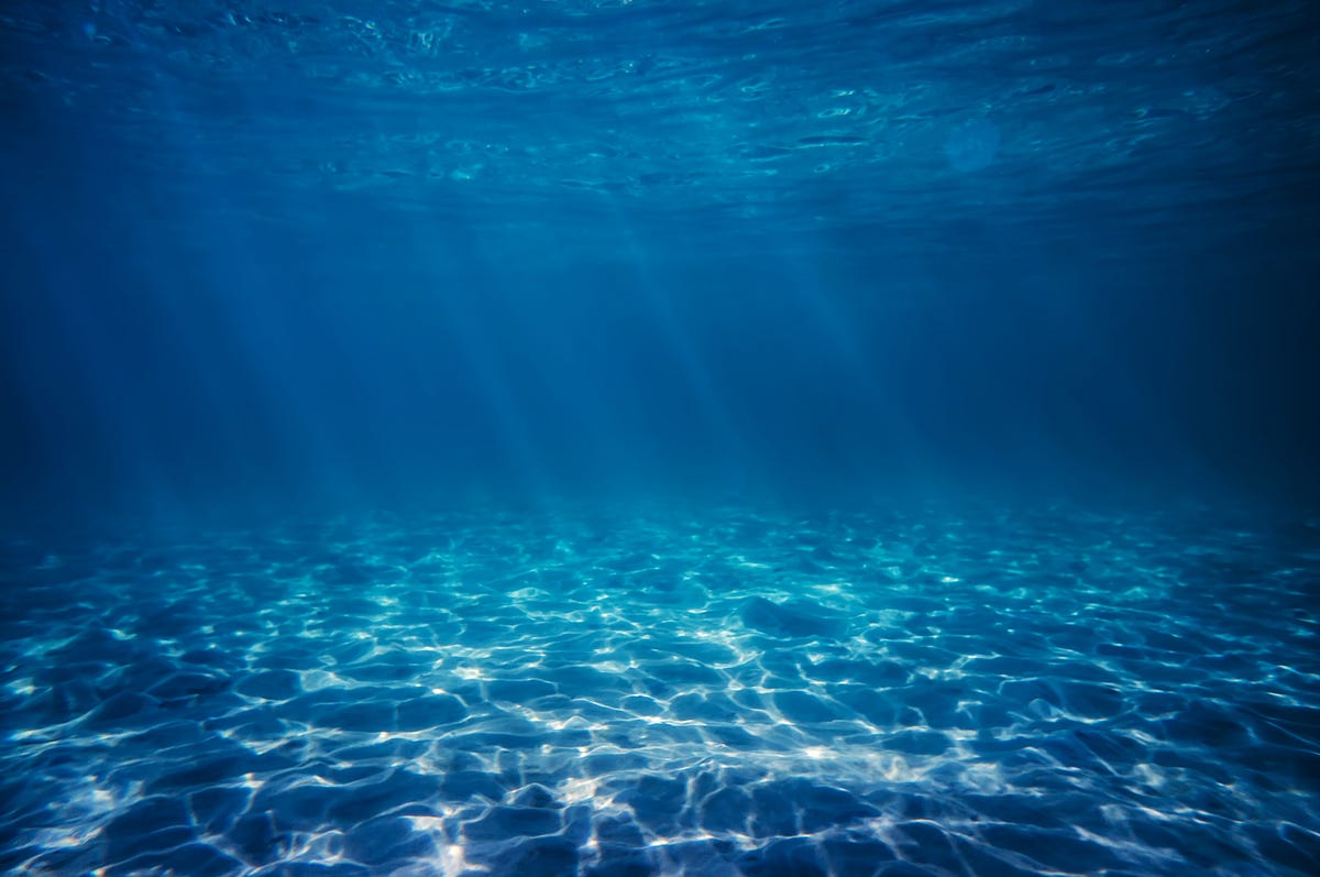 Deep Stillness. What is not yet blooming? | by Nalini MacNab | Divine ...