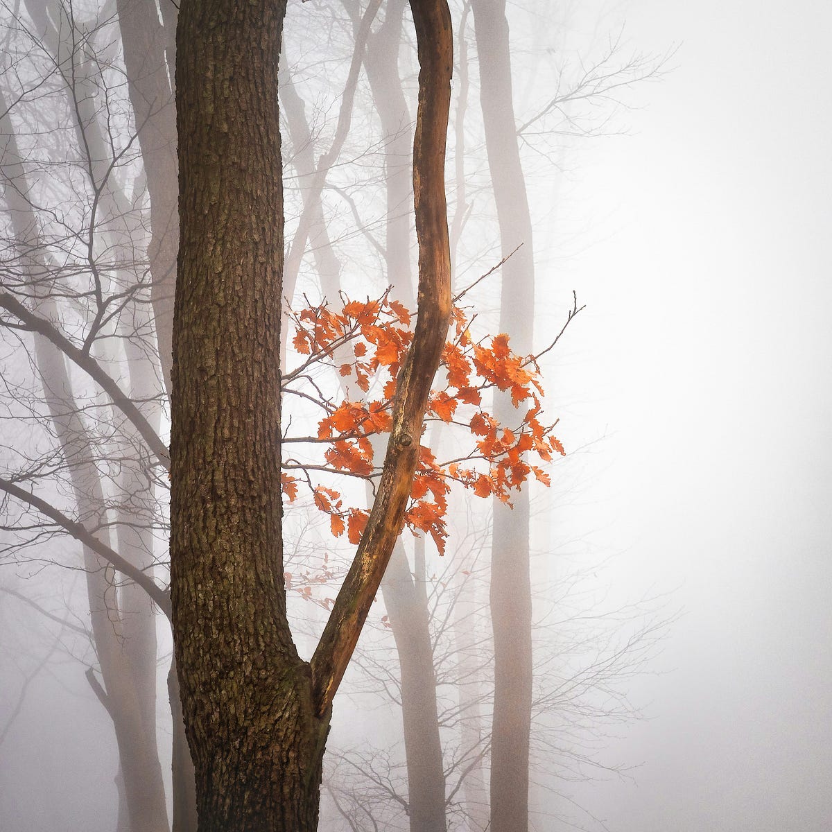 The Quiet Feeling That My Life Is About to Change | by SoulSetu | Medium