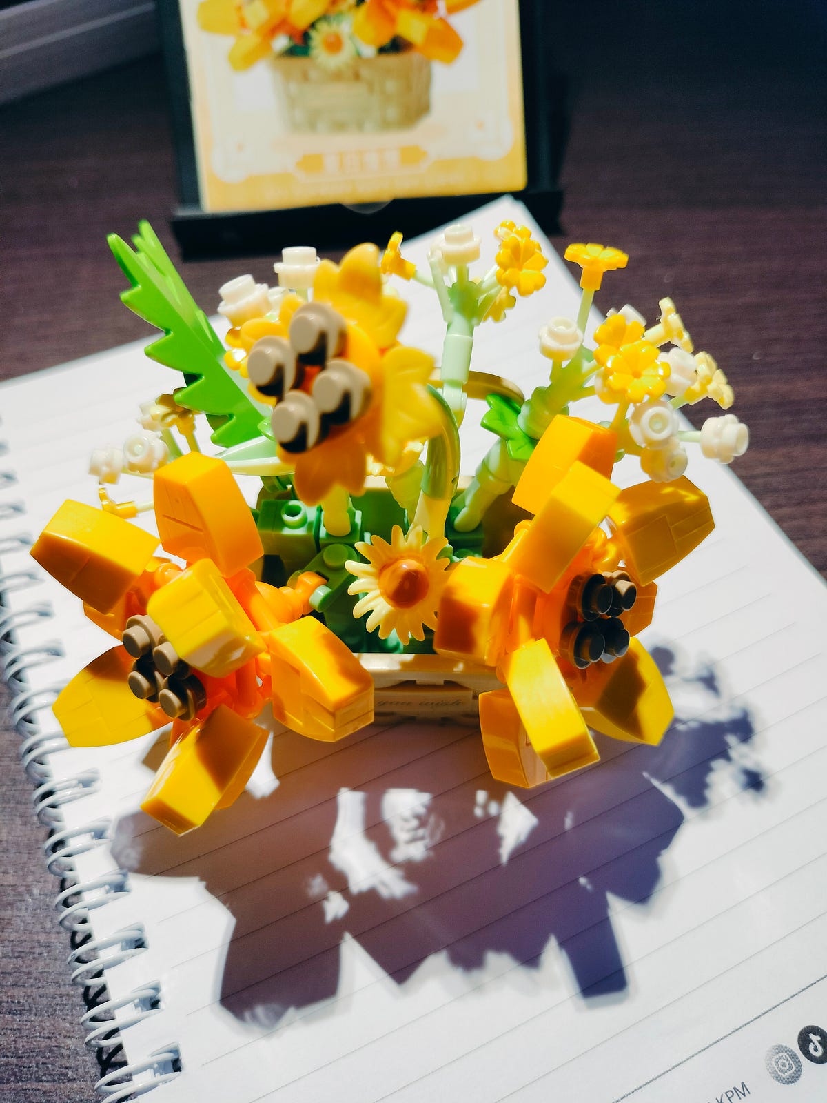 Sunflower, daisies or whatever | by Building Blocks | May, 2025 | Medium