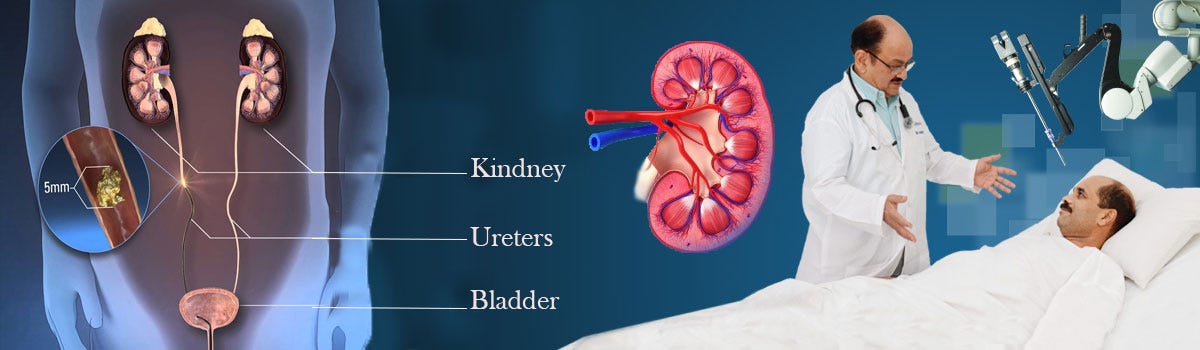Best Urology hospitals in Sikar Road, Jaipur | by Annukkgoyal | Mar, 2024 | Medium