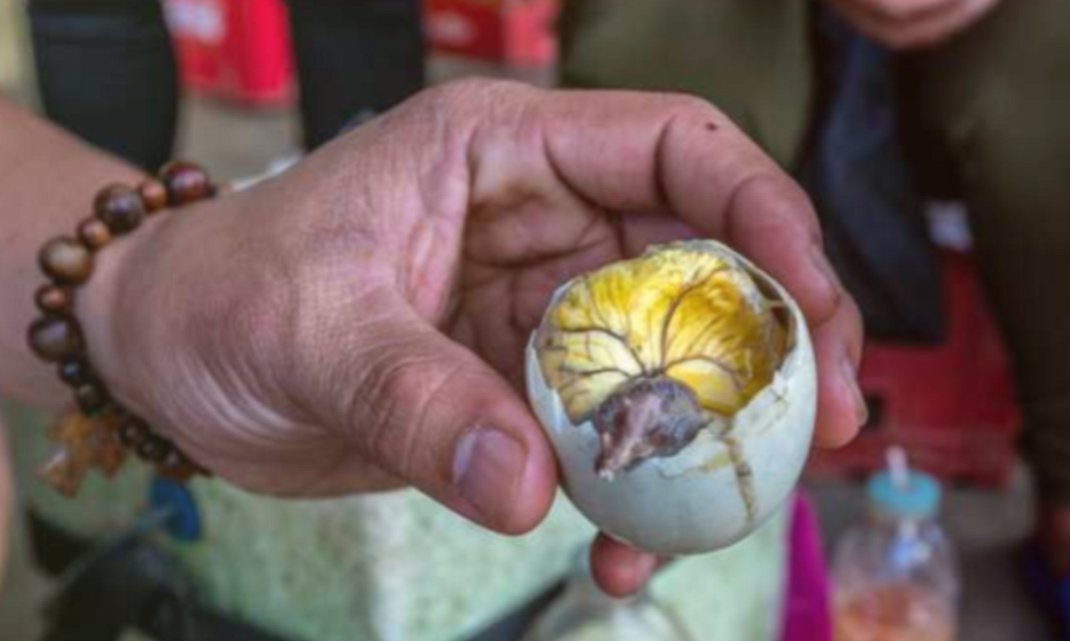 Daring to Try the Unusual: BIZARRE Eats from Around the World | by ...
