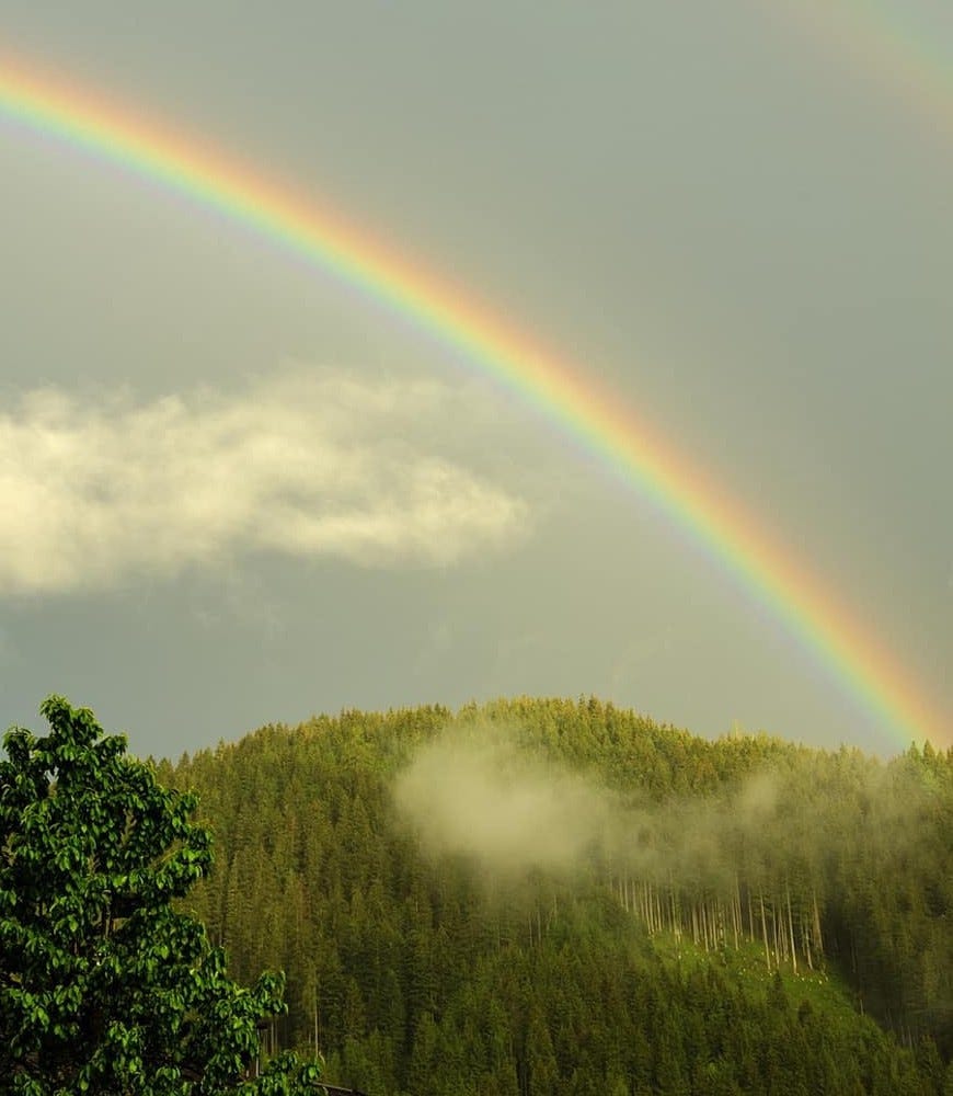 Real Rainbows In The Sky