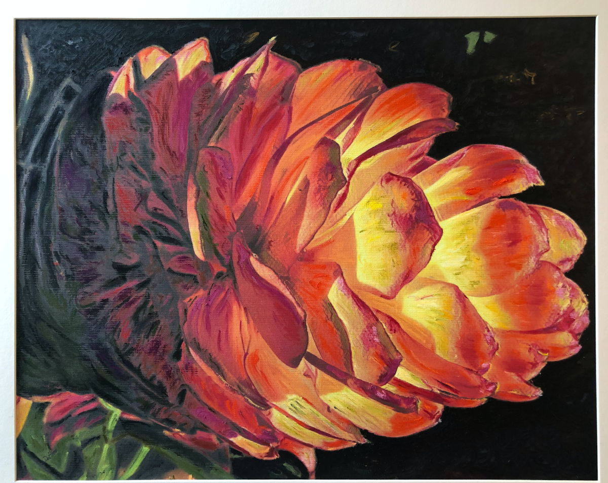 Ginger Blossom - Artique - Medium