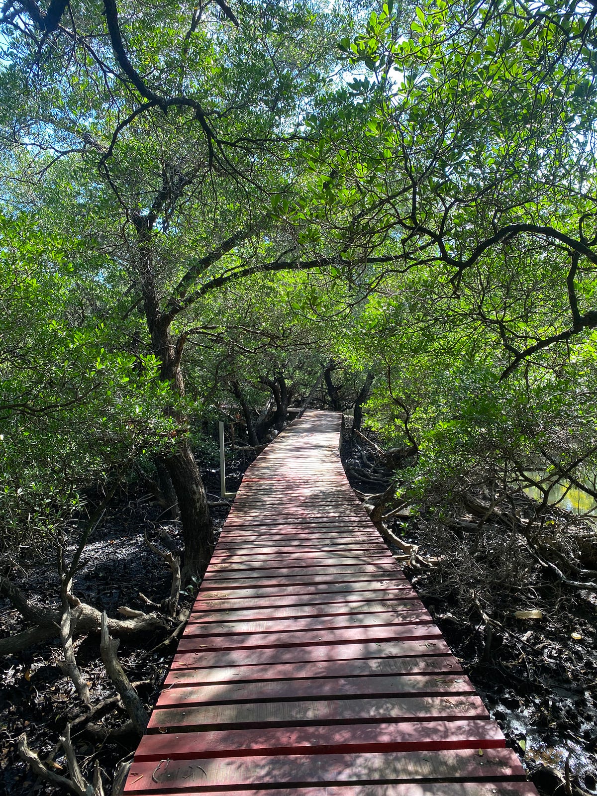 Writing From The Road: The Art Of Travel Journalism | by Saloni Arora ...