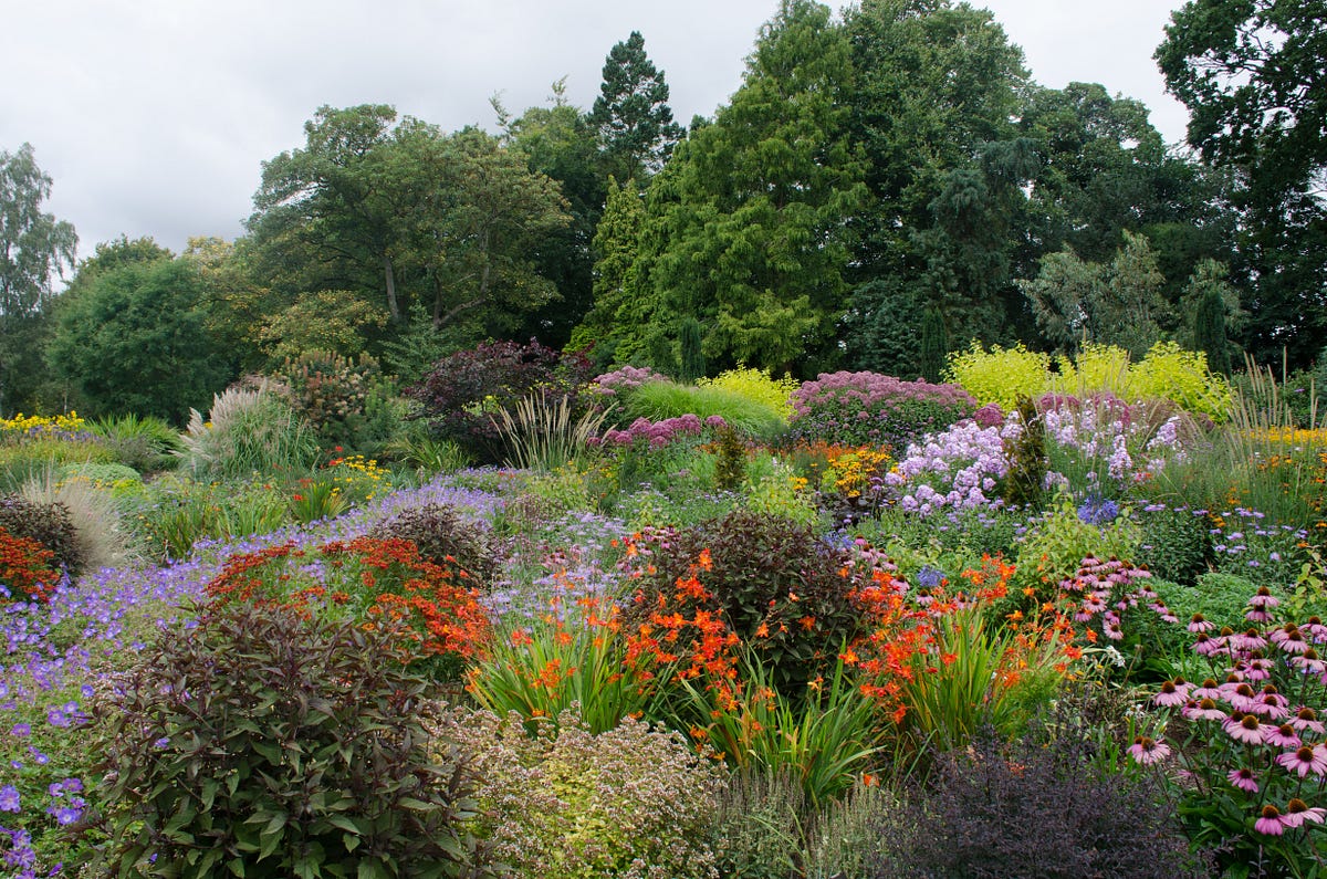 Gardens. Copyright continues to be under fire… | by Anthea Stratigos ...