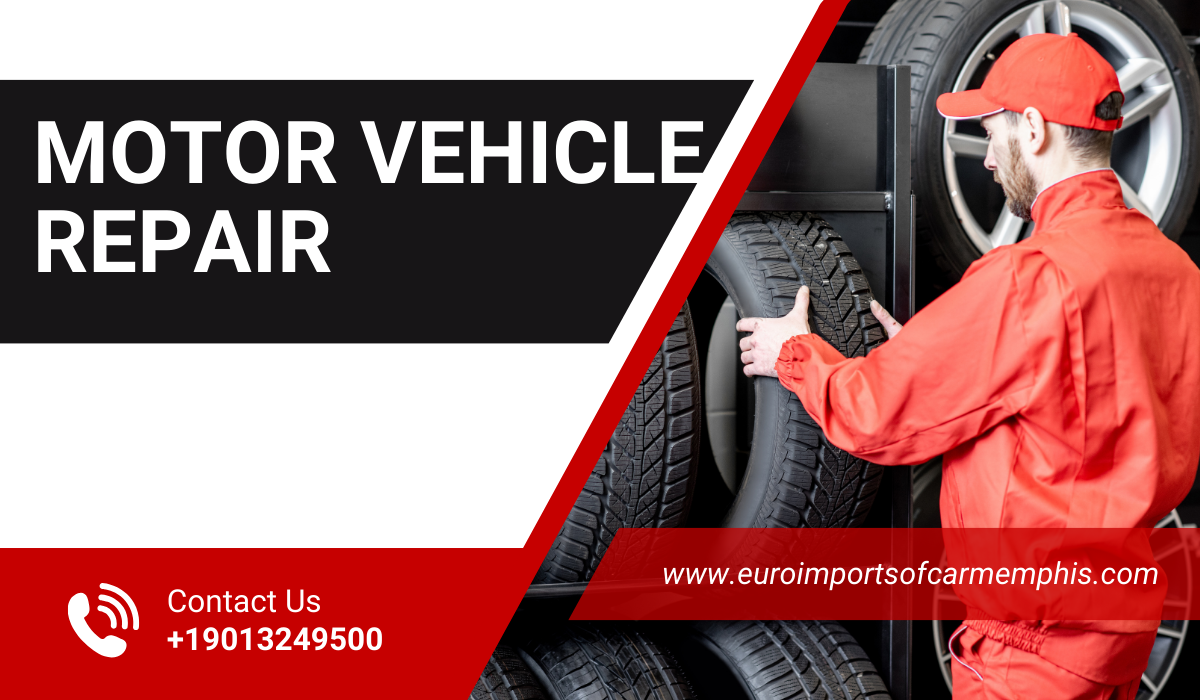 Professional Motor Vehicle Repair Memphis, TN | by Euro Imports of ...