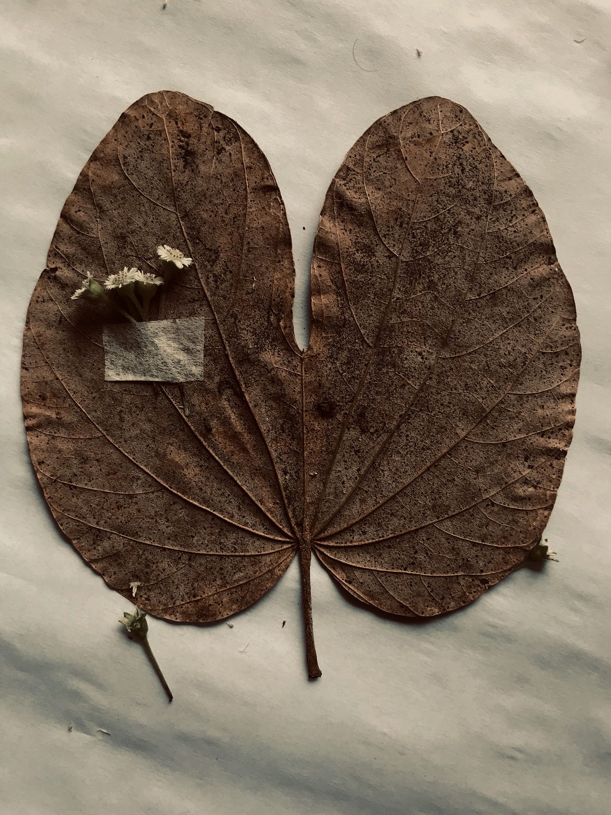 In the state of eternal transcendence, will the wounds heal? | by ...