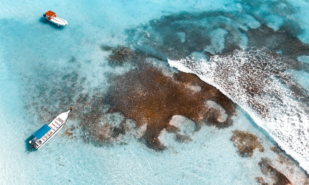 📸 Unsplash’s API. Use the world’s most powerful photo… | by Stephanie ...