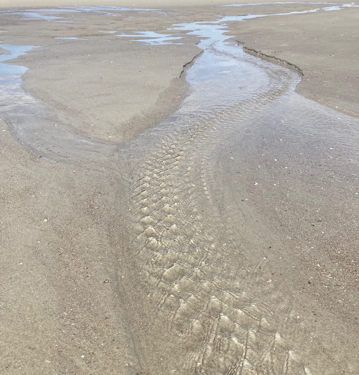 Sands of Time. Watch these lines of rhyme | by Carey Rowland | Medium