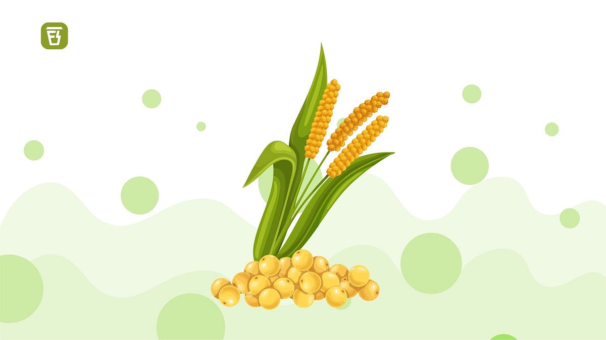 The Supergrain of the Future: Why Millet Deserves a Place in Your Diet ...