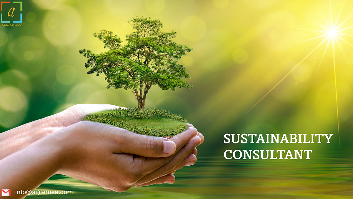 Sustainability Reporting Guidelines: A Comprehensive Overview for ...