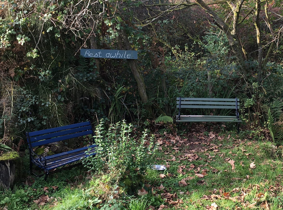 #229: Rest Awhile Benches. A welcome sight for weary walkers | by Katie ...