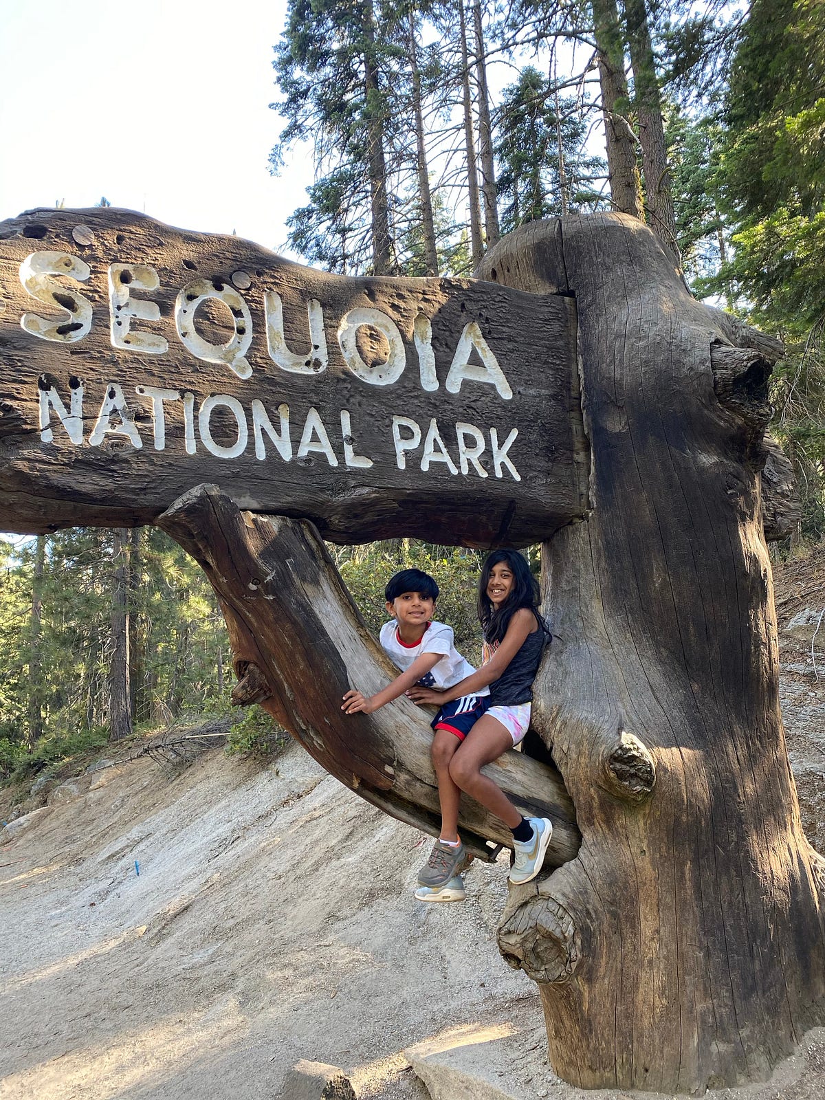 Day 28, 29 & 30: Sequoia, Kings Canyon and Hume Lake | by Leya Shah | Medium