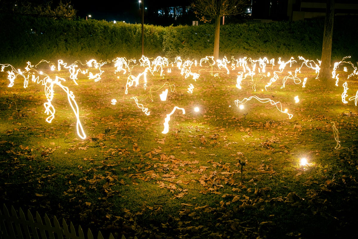 Fireflies. FF | by Sampson Aberdeen | Medium