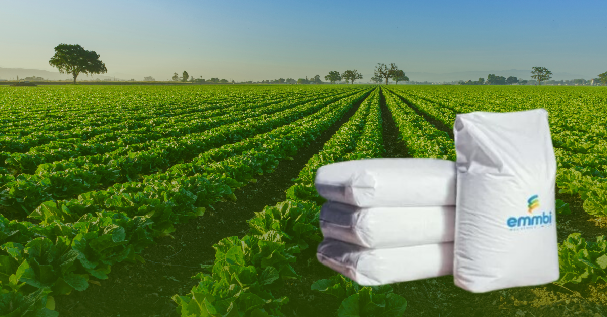 How Woven Sacks Are Revolutionizing the Agricultural Industry ...