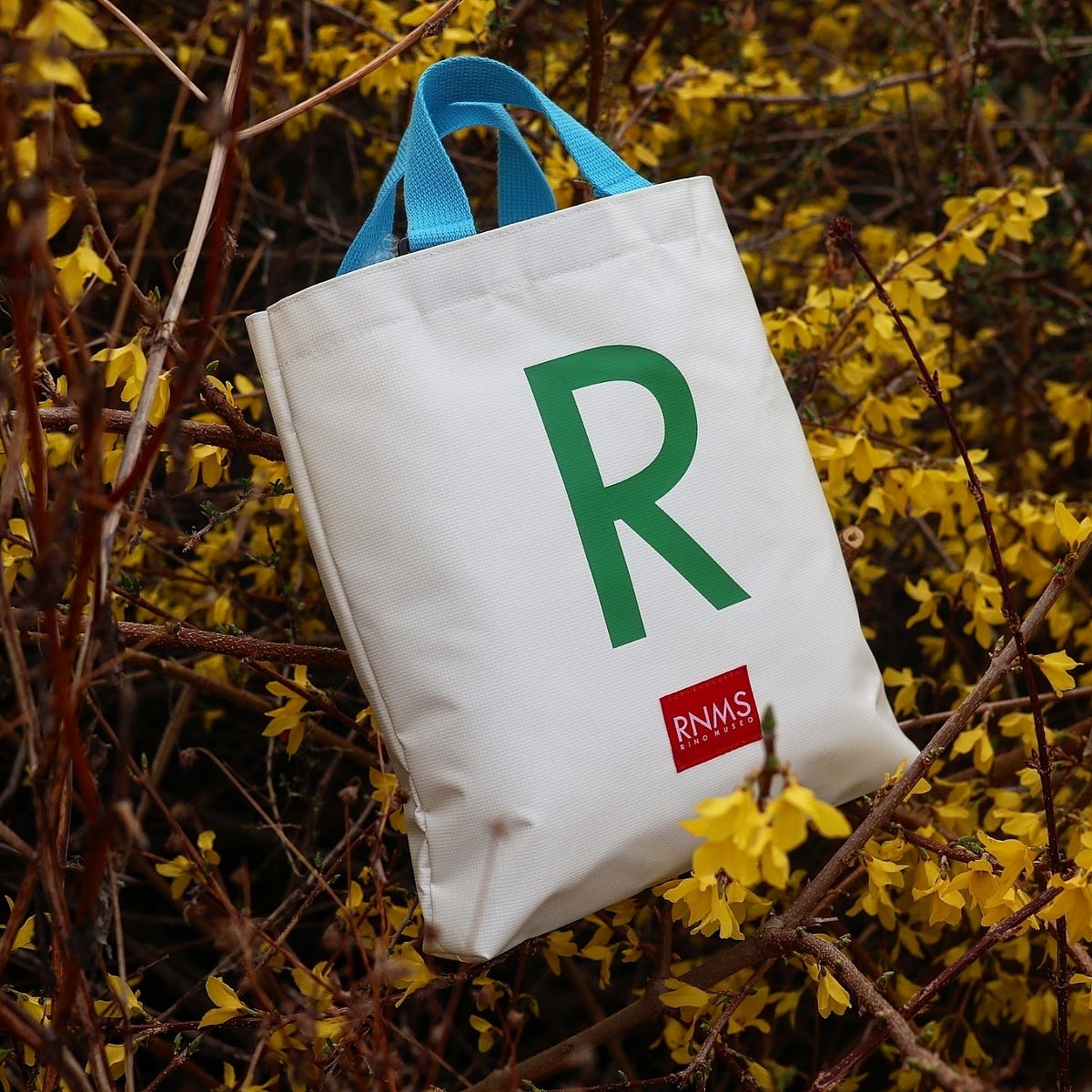 RNMS TOTEBAG - RNMS - Medium