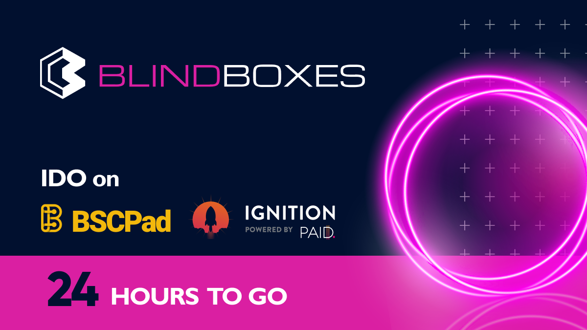 Blind Boxes IDO in less than 24 hours! | by Blind Boxes | Blind Boxes ...