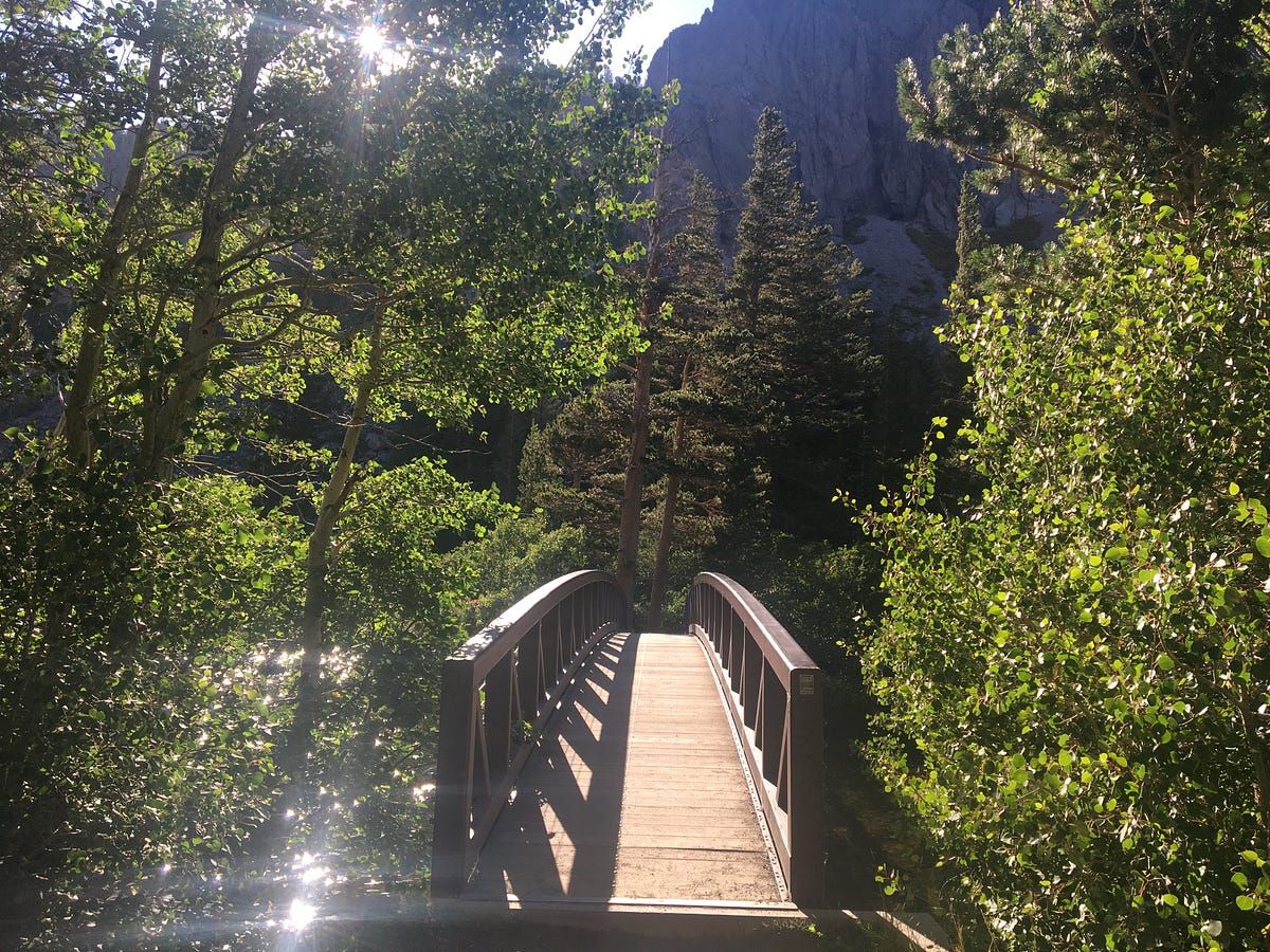 The Middle Path to Clean Energy: Integrating Hard & Soft Paths | by ...