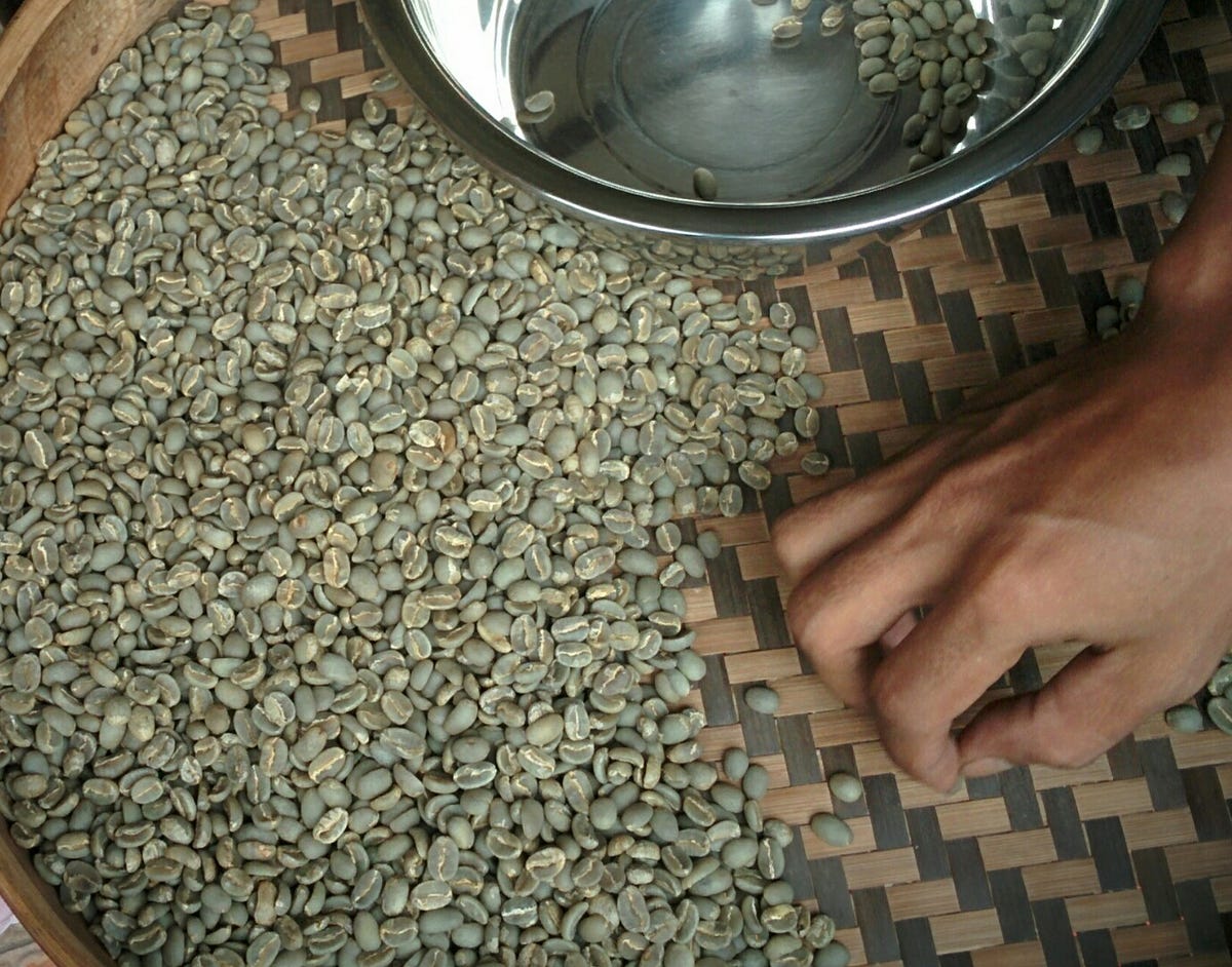 Sortasi. Proses ini boleh dibilang sakral… | by Kopi Sondang | Medium